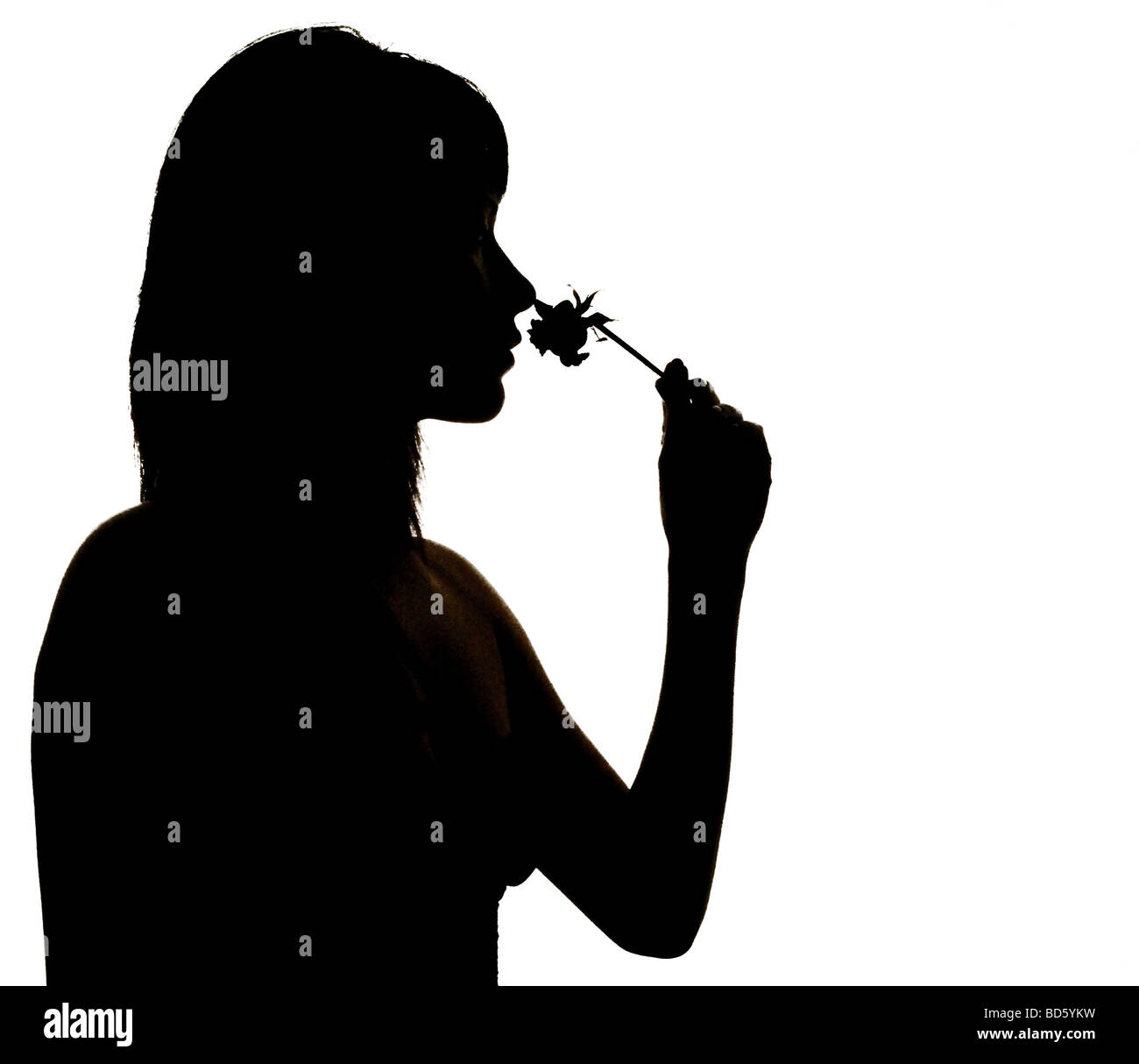 Scent smell Cut Out Stock Images & Pictures - Alamy