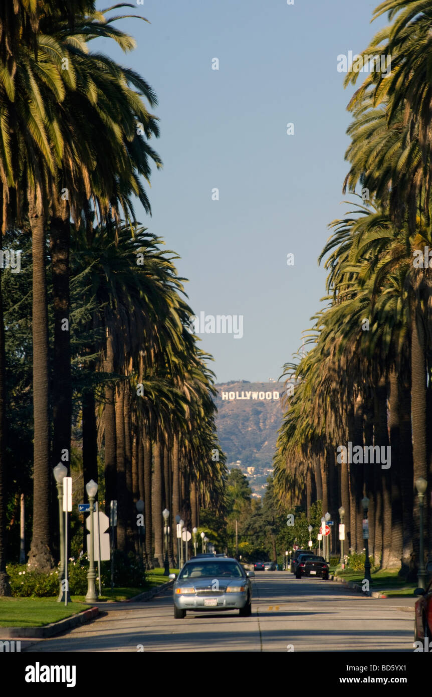 Los angeles palm trees hollywood sign hi-res stock photography and ...