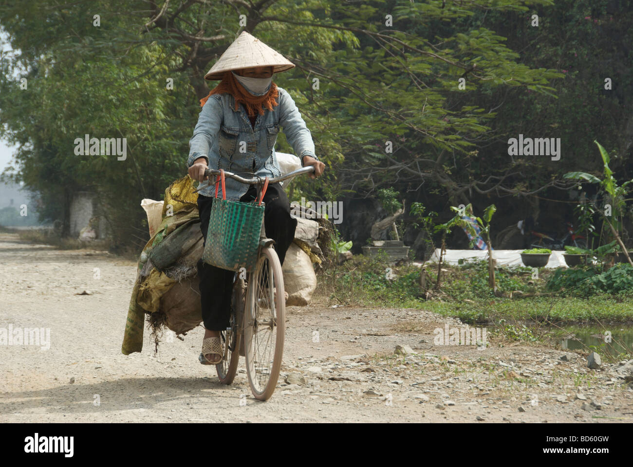 Tam coc cycling hi-res stock photography and images - Alamy