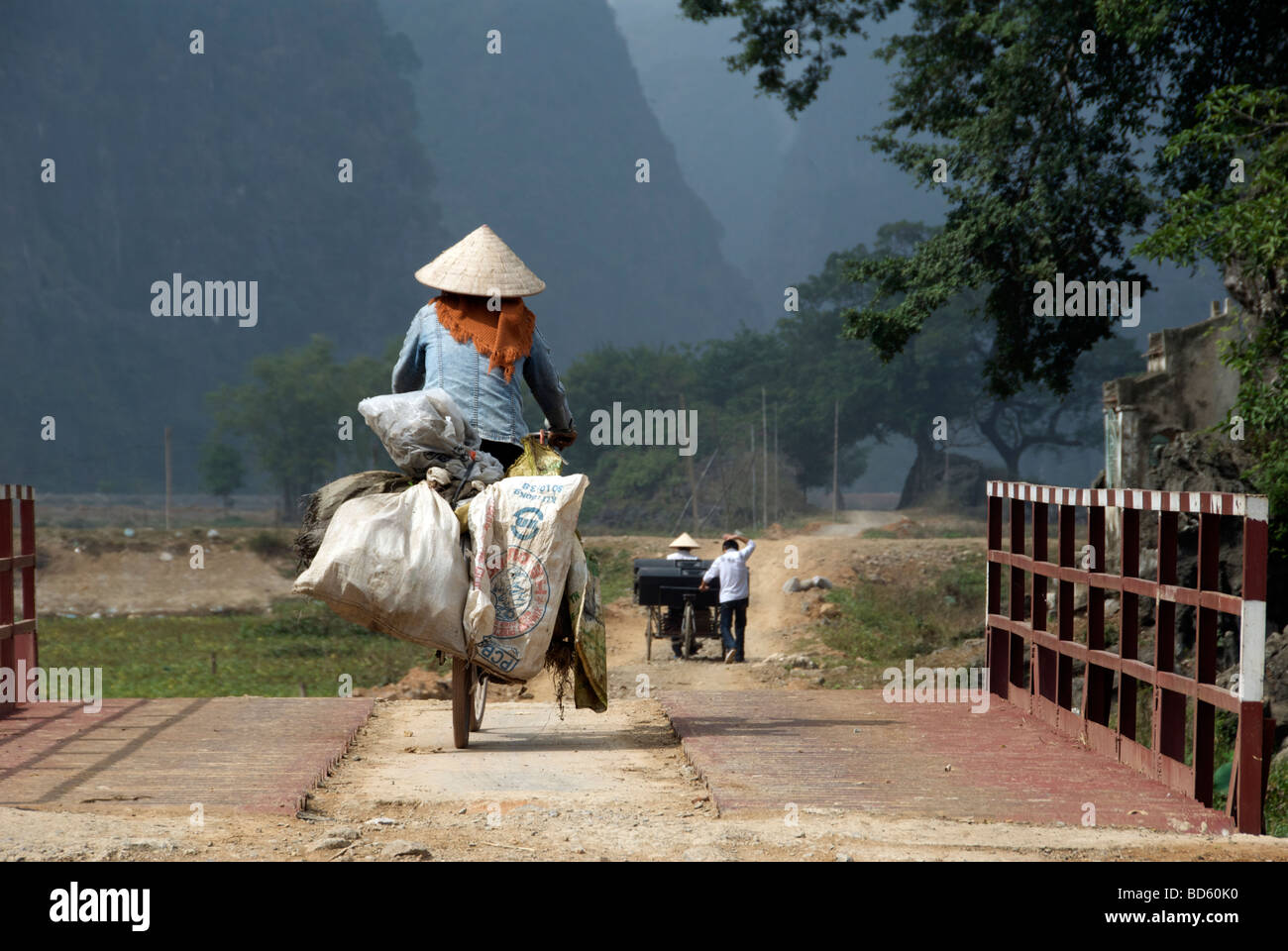 Woman wearing conical hat riding bike loaded with produce Tam Coc Ninh ...