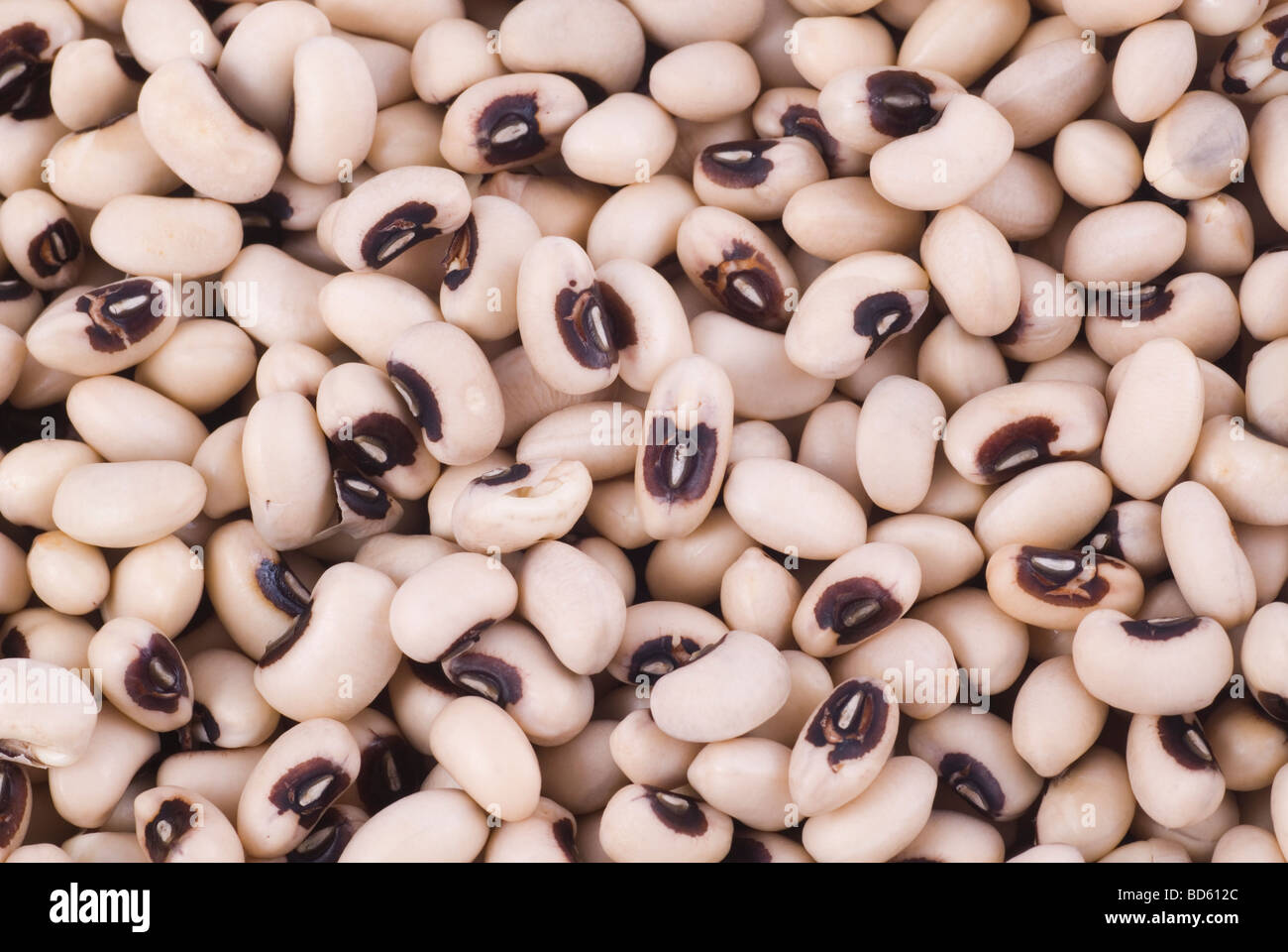 The Black Eyed Peas High Resolution Stock Photography and Images - Alamy