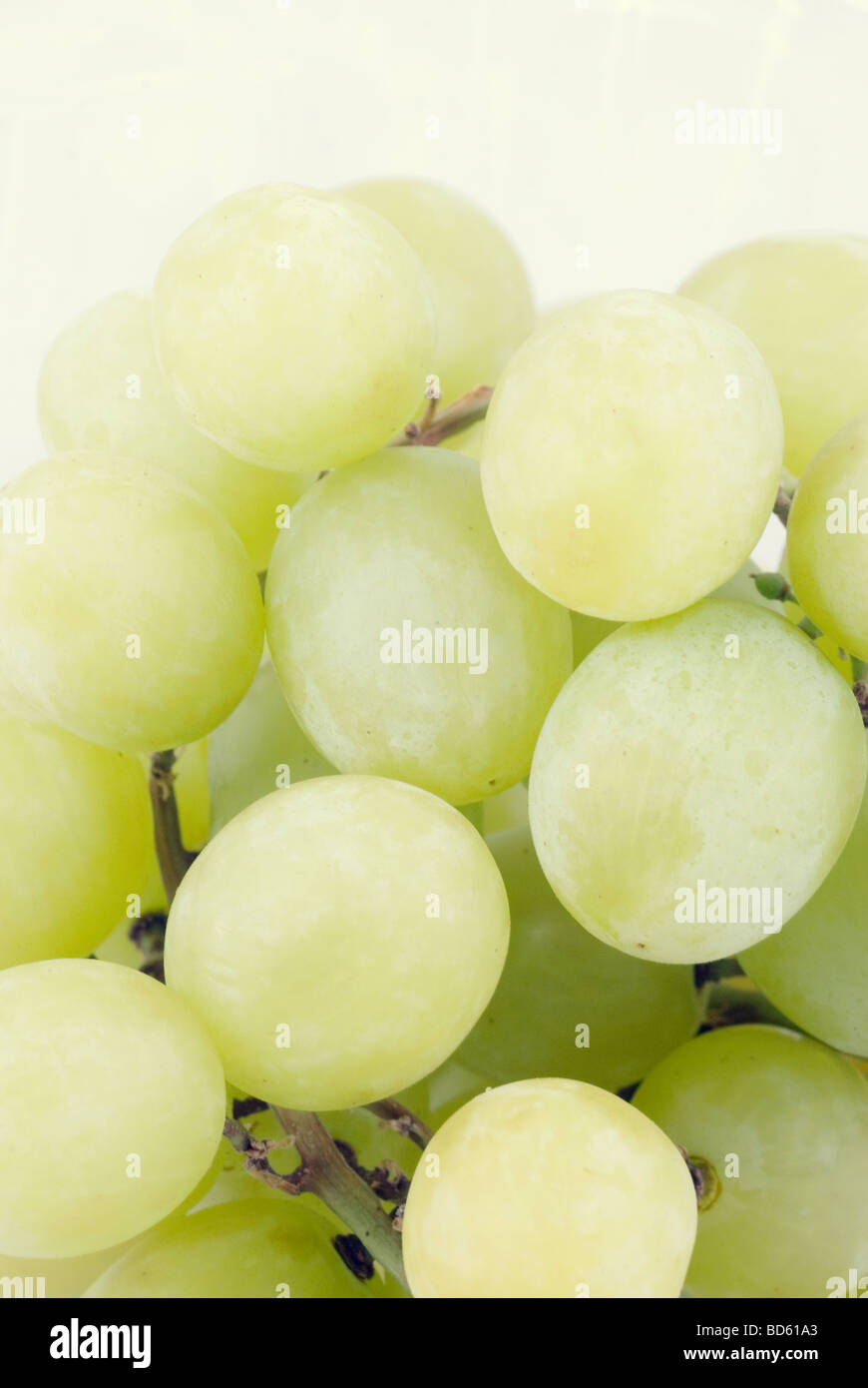 close up of green grapes cluster Stock Photo - Alamy