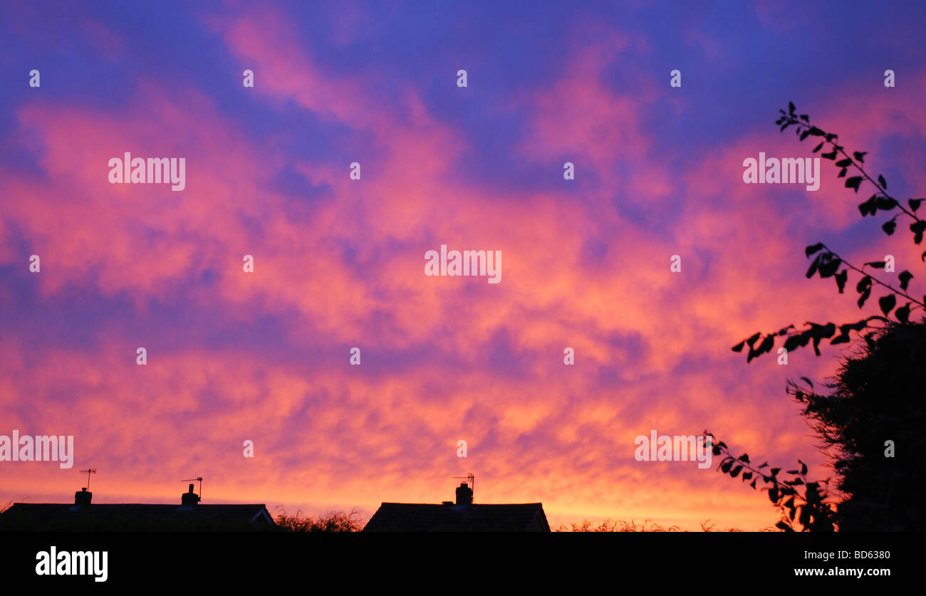 Menacing house hi-res stock photography and images - Alamy