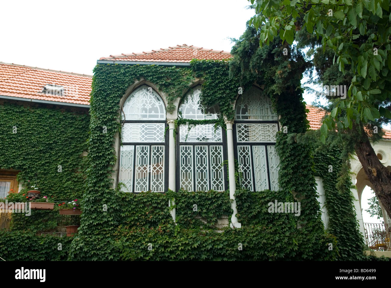 House with arched windows covered with green ivy Lebanon Middle East ...