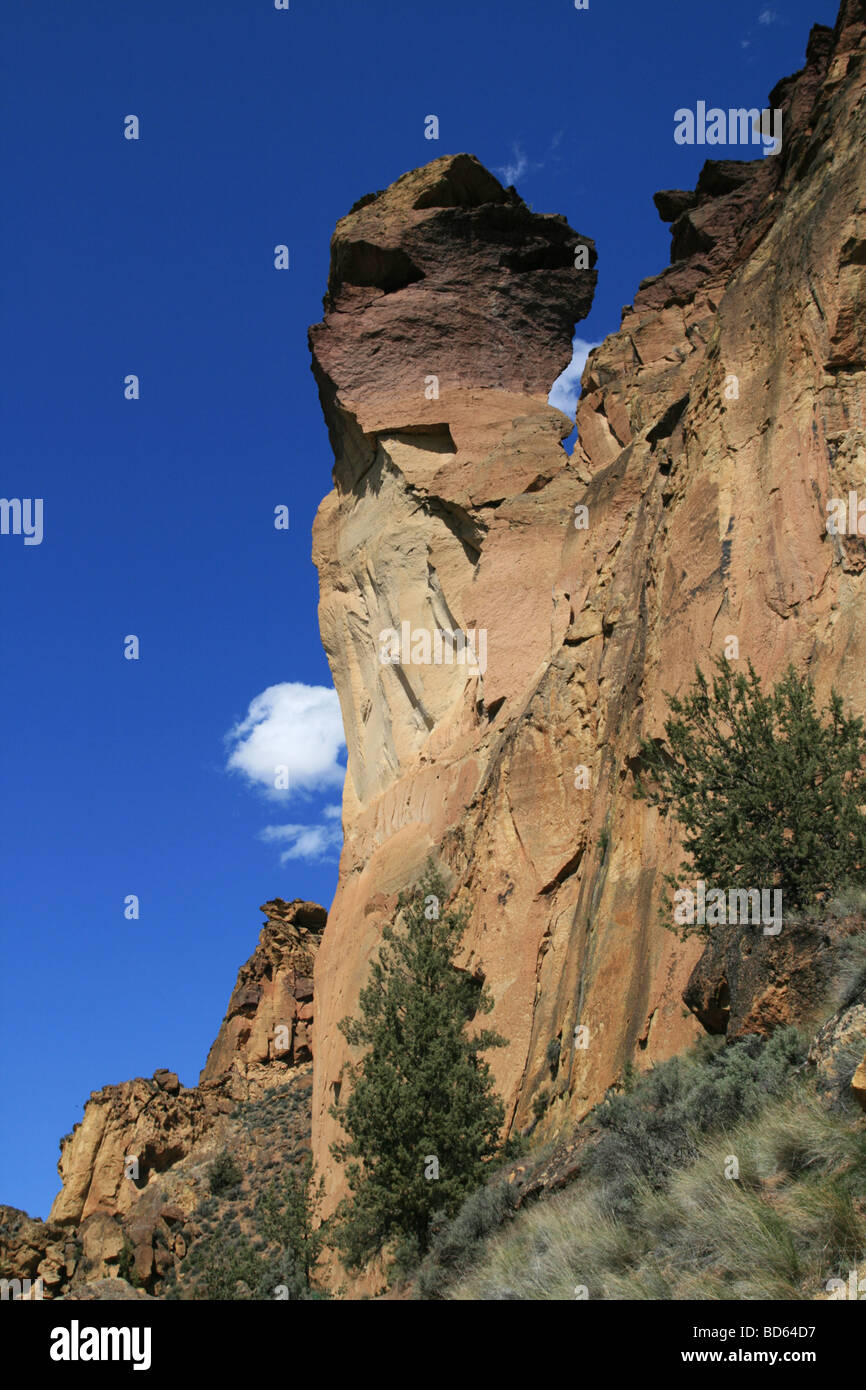 view up at monkey face rock spire in Smith Rock State Park Stock Photo ...
