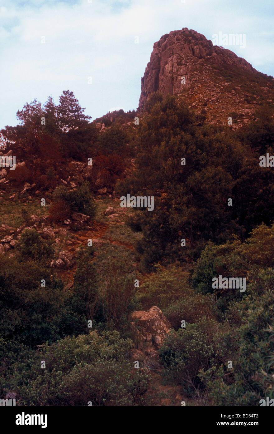 Nyanga mountains hi-res stock photography and images - Alamy