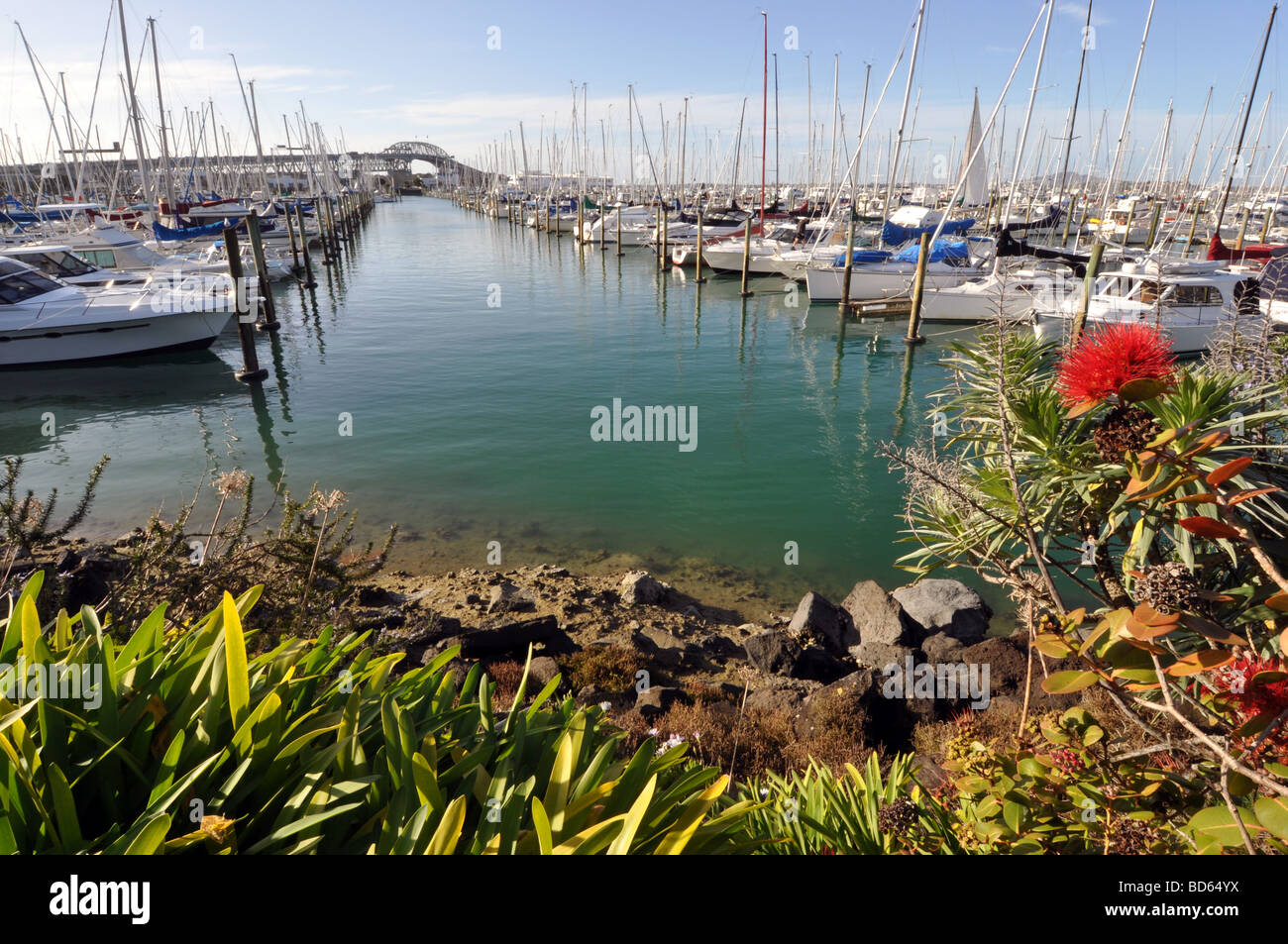 Vistas of Westhaven Marina with the main arch of the Auckland Harbour ...