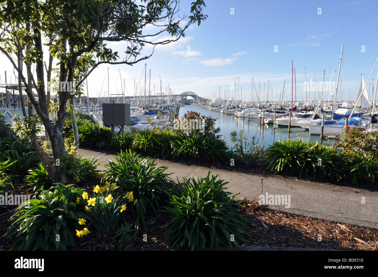 Vistas of Westhaven Marina with the main arch of the Auckland Harbour ...