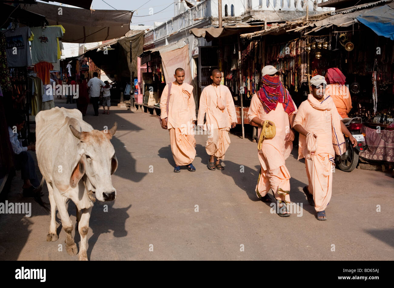 Holy Cow In Pushkar Market Rajasthan India Stock Photo - Alamy