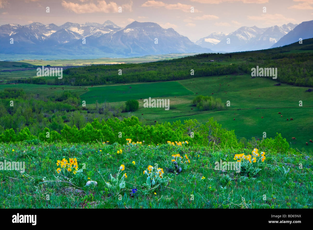 "Where the Mountains meet the Prairies",view of Waterton Lakes National ...