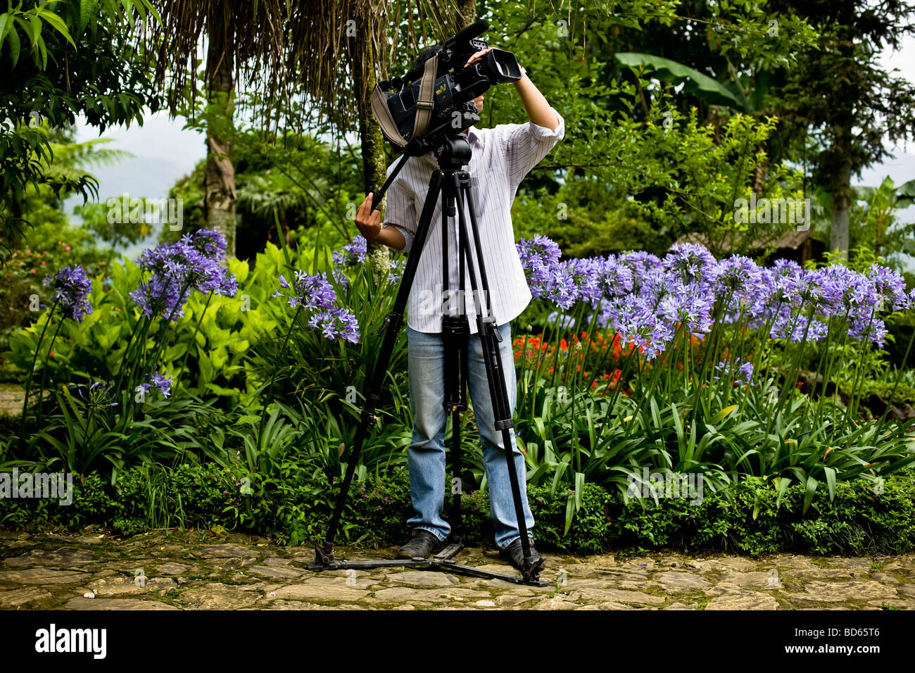 A camera man records a nature scene in the mountains of Sapa in ...