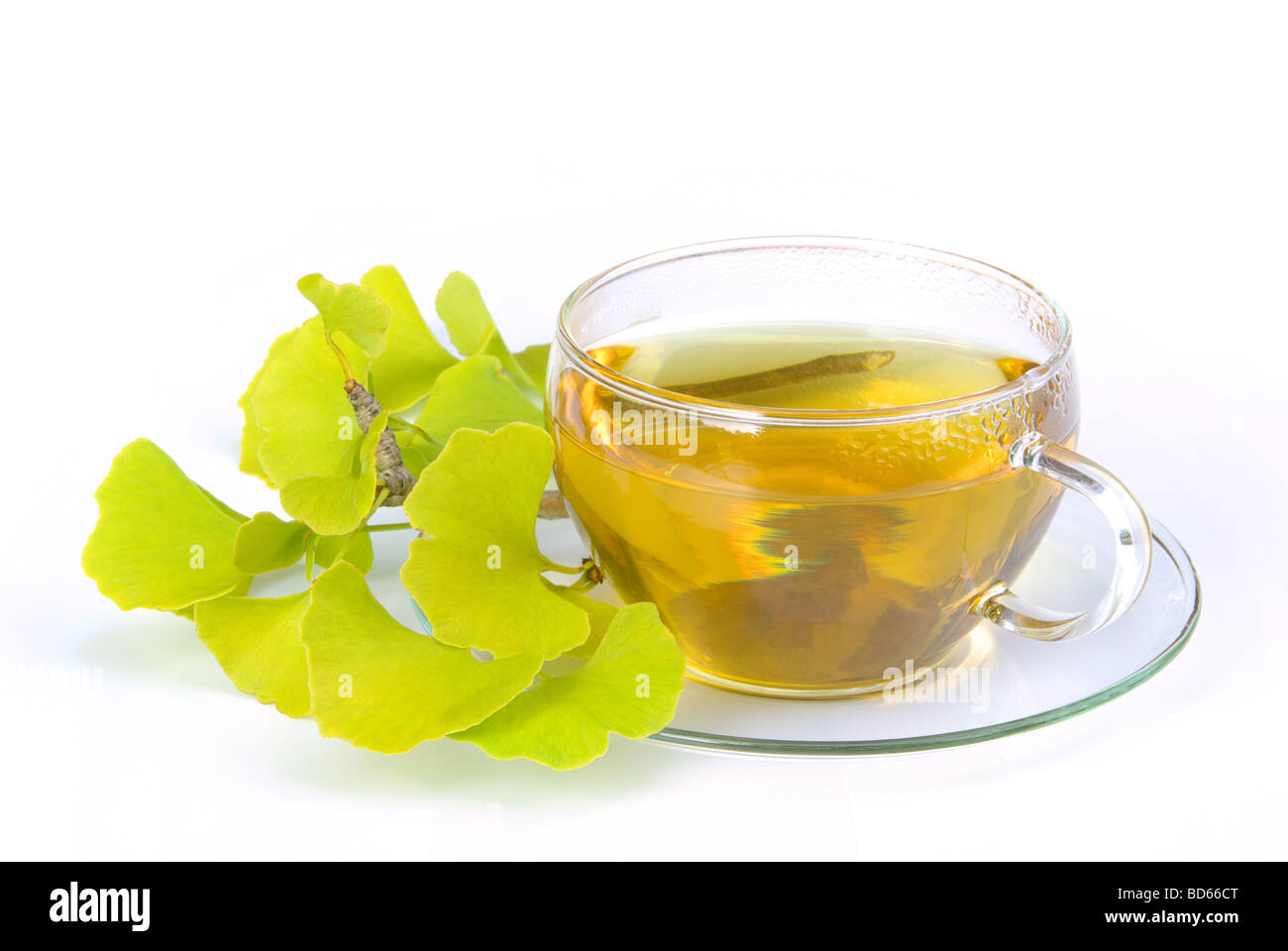 Tee Ginkgo tea ginkgo 07 Stock Photo - Alamy