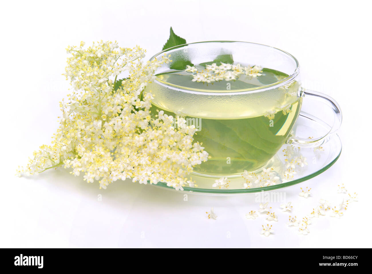 Cup green tea flower Cut Out Stock Images & Pictures - Alamy