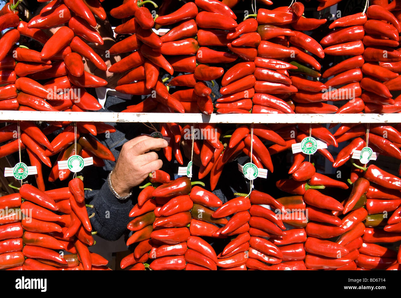 Espelette pepper (64 Stock Photo - Alamy
