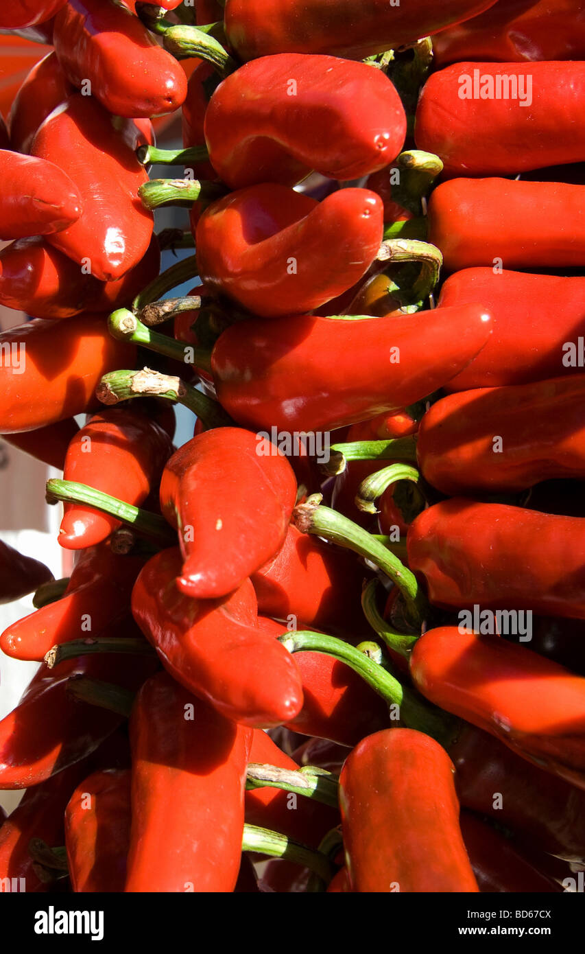 Espelette pepper (64 Stock Photo - Alamy