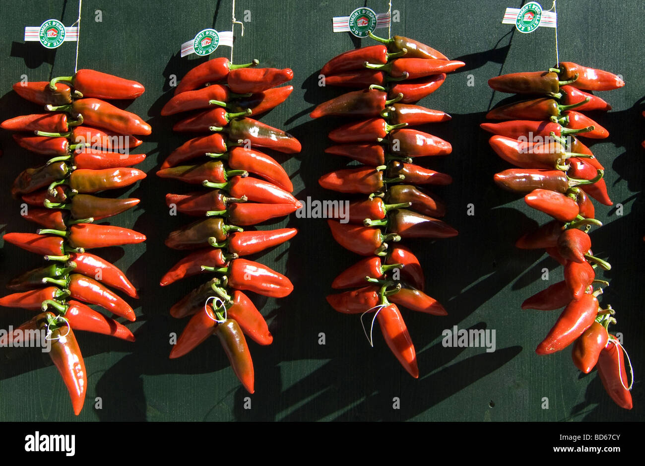 Espelette pepper (64 Stock Photo - Alamy