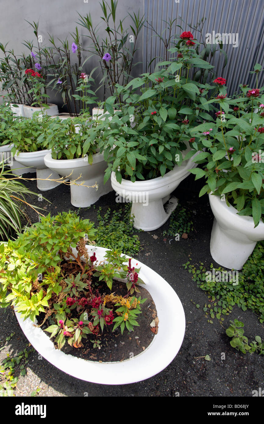 Flowers are plant in stool pots Stock Photo - Alamy