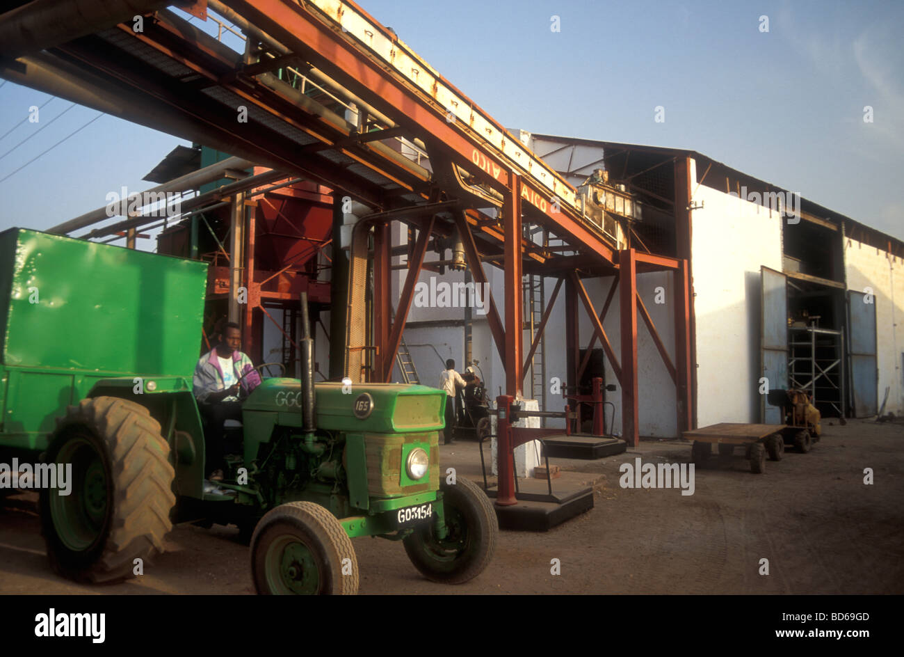 Peanuts the gambia hi-res stock photography and images - Alamy