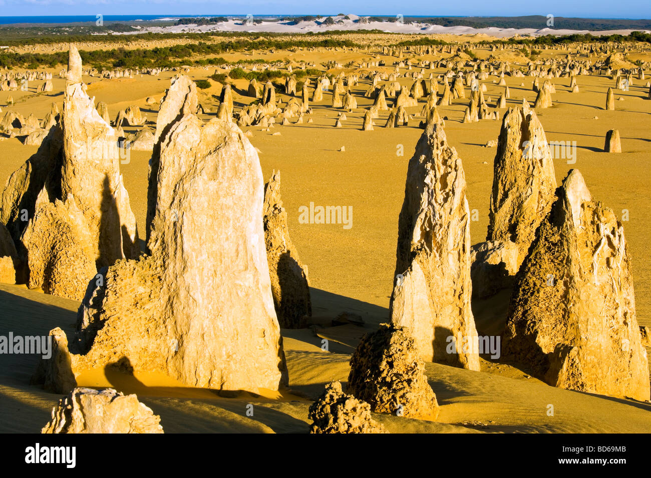 The Pinnacles Nambung National Park Stock Photo - Alamy