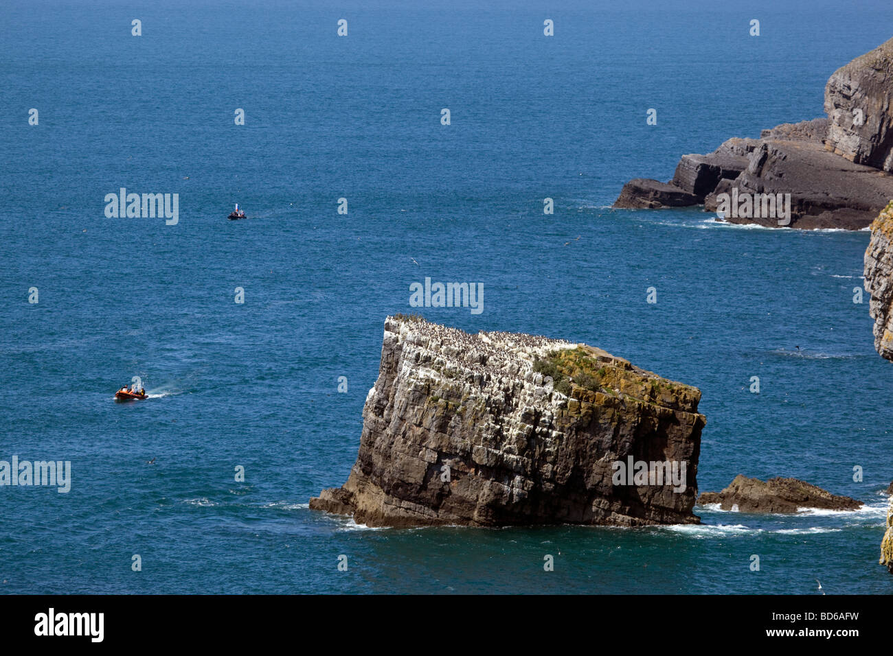 elegug stacks pembrokeshire wales Stock Photo - Alamy