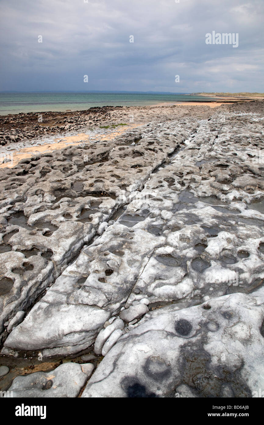 Wave cut platform hi-res stock photography and images - Alamy