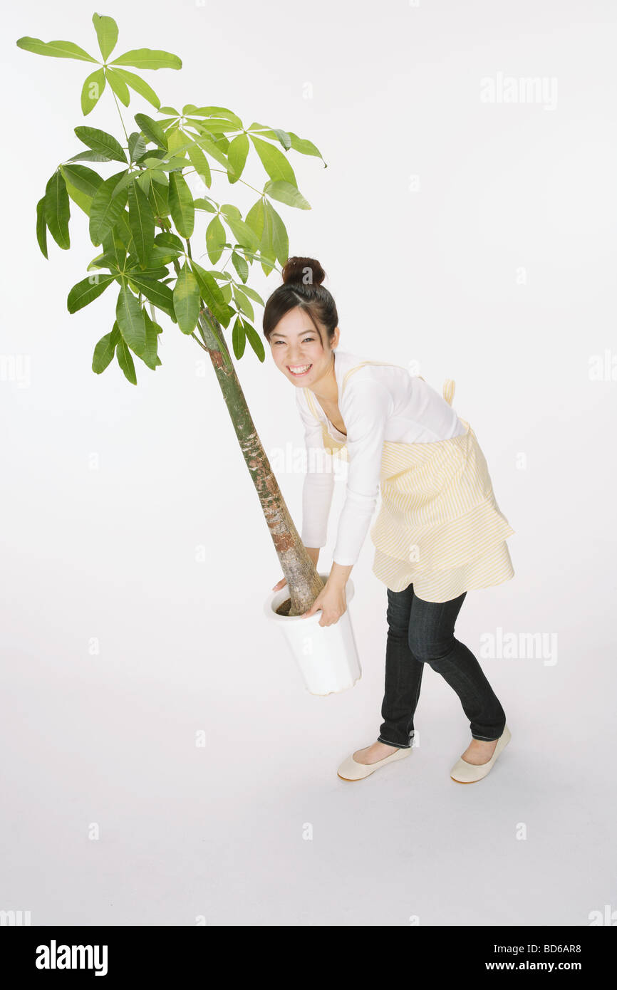 Lifting plant pot hi-res stock photography and images - Alamy