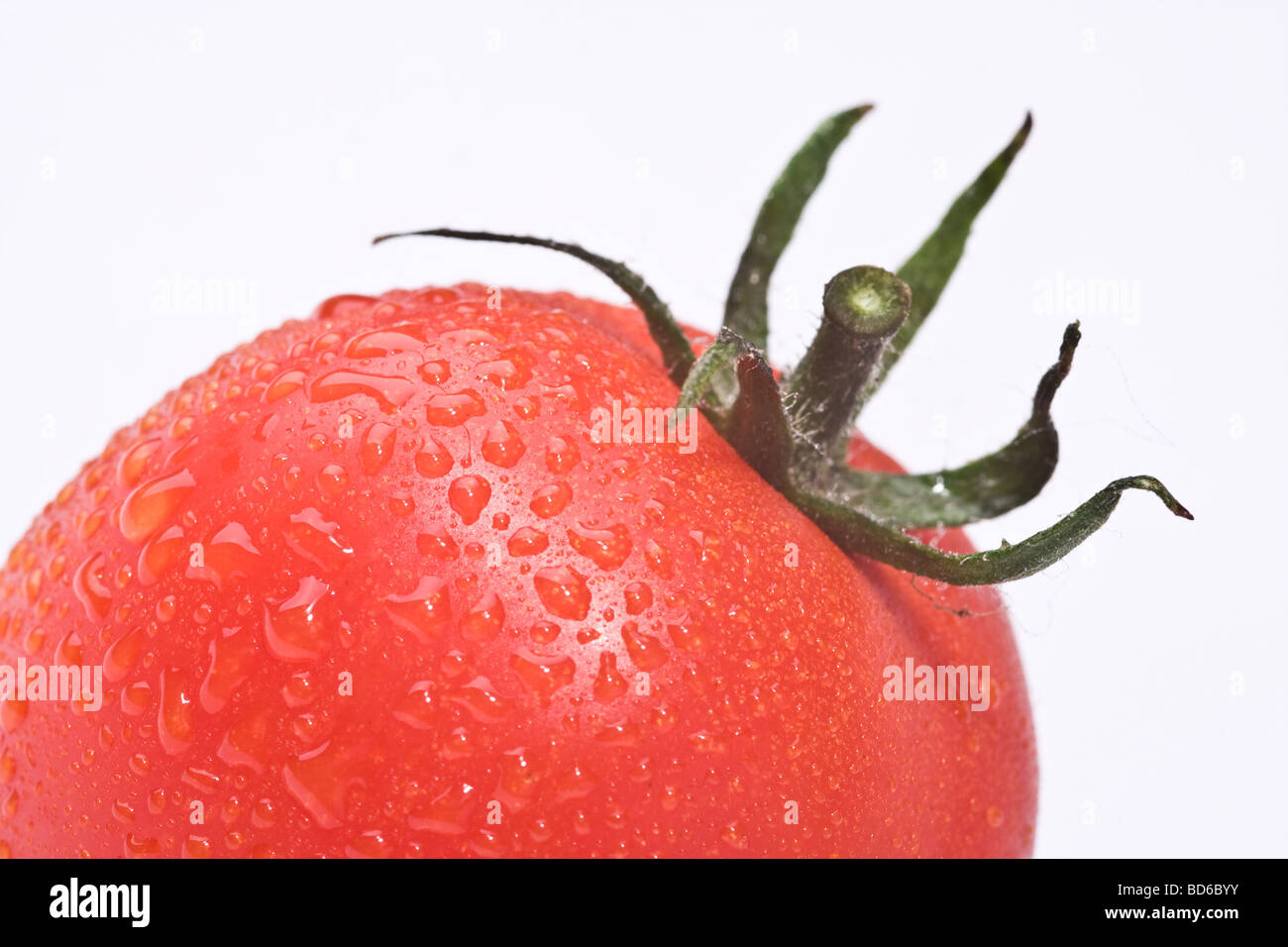 detail of the red tomato with water drops Stock Photo - Alamy