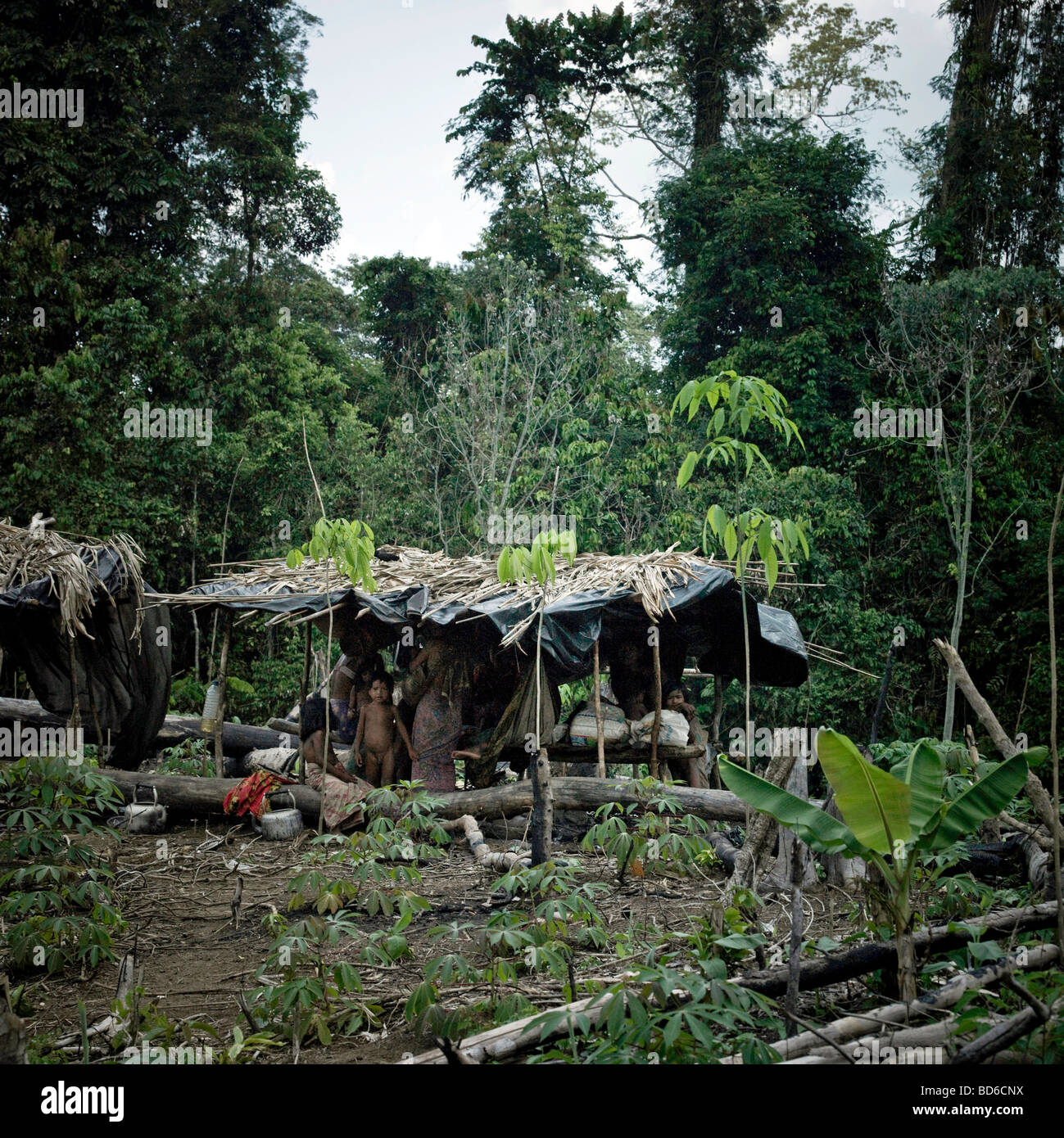 Indonesia, Sumatra Island : Orang Rimba campsite Stock Photo - Alamy