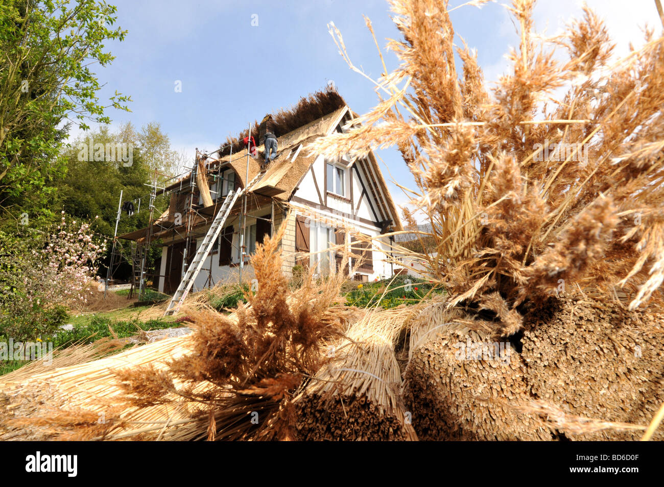 Roof in the process of being thatched Stock Photo - Alamy
