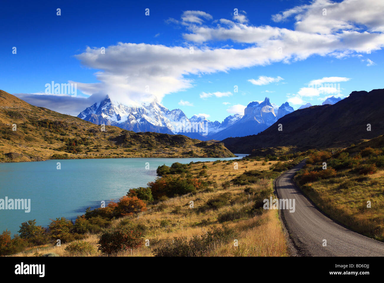 Chile : Torres del Paine National Park Stock Photo - Alamy