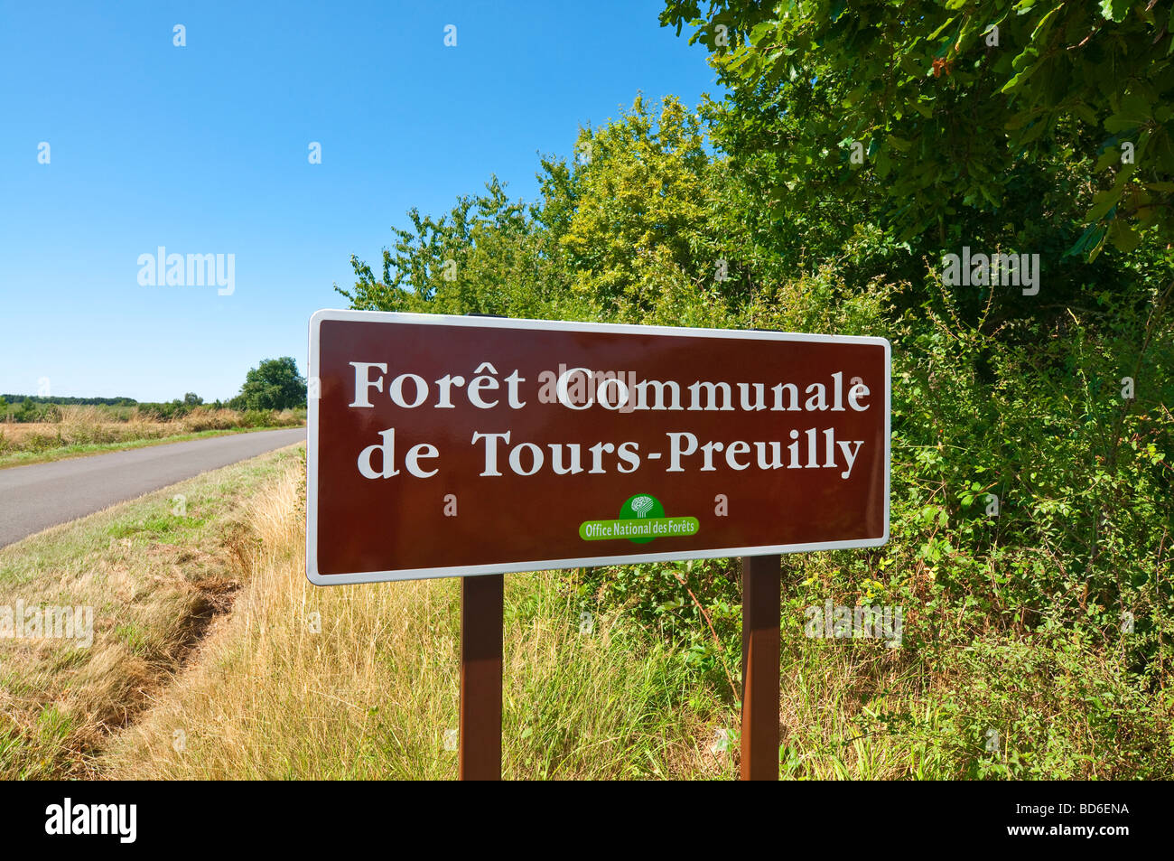 Forets area hi-res stock photography and images - Alamy