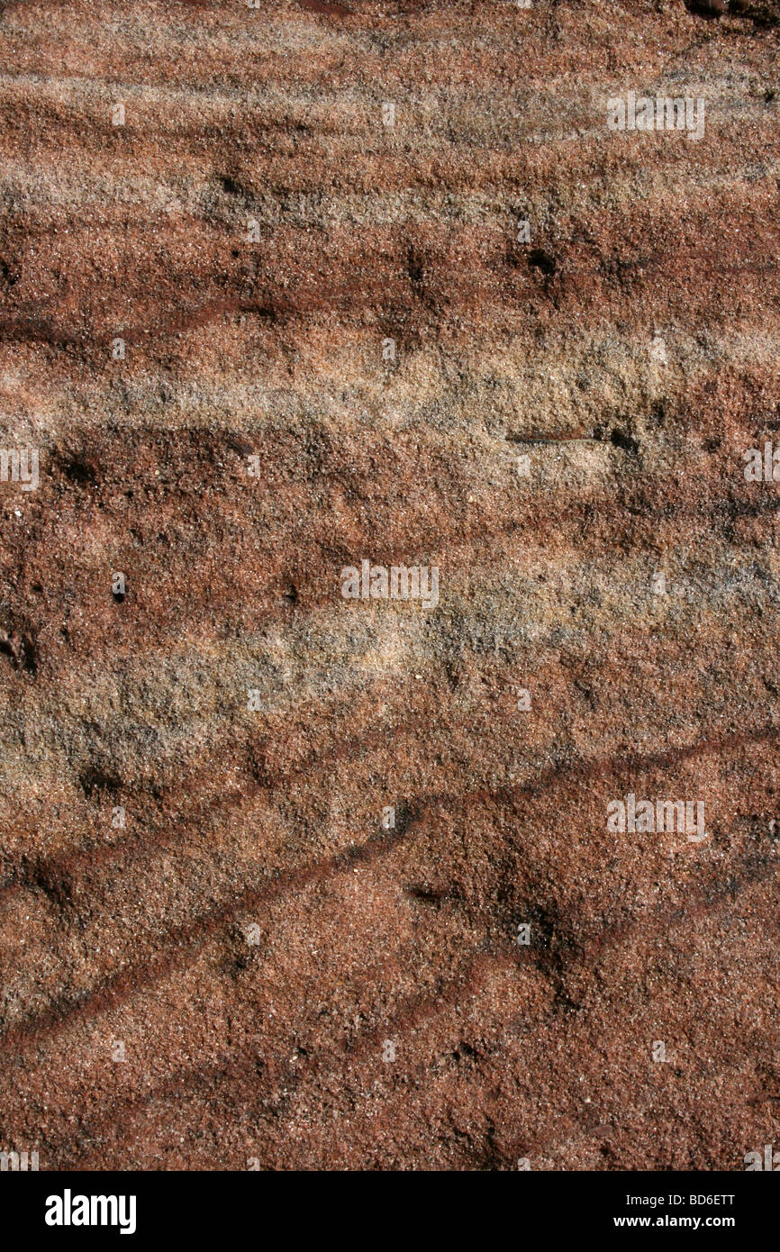Rock Strata In Bunter Sandstone, Hilbre Island, Wirral, Merseyside, UK ...