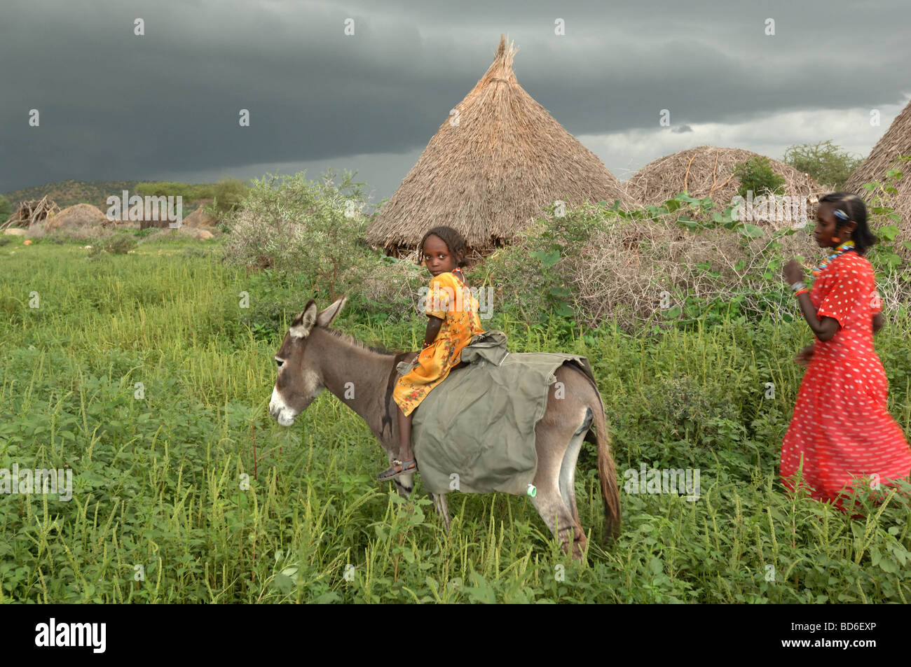 Aifa Aifa stands together with her new donkey that she chose at the ...