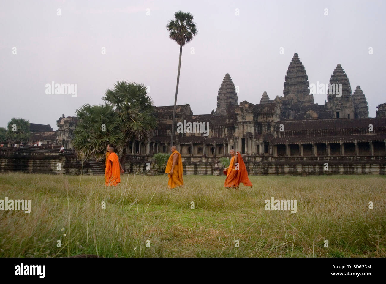 Angkor Wat. This jewel in the crown of Angkor s ancient temples is a ...