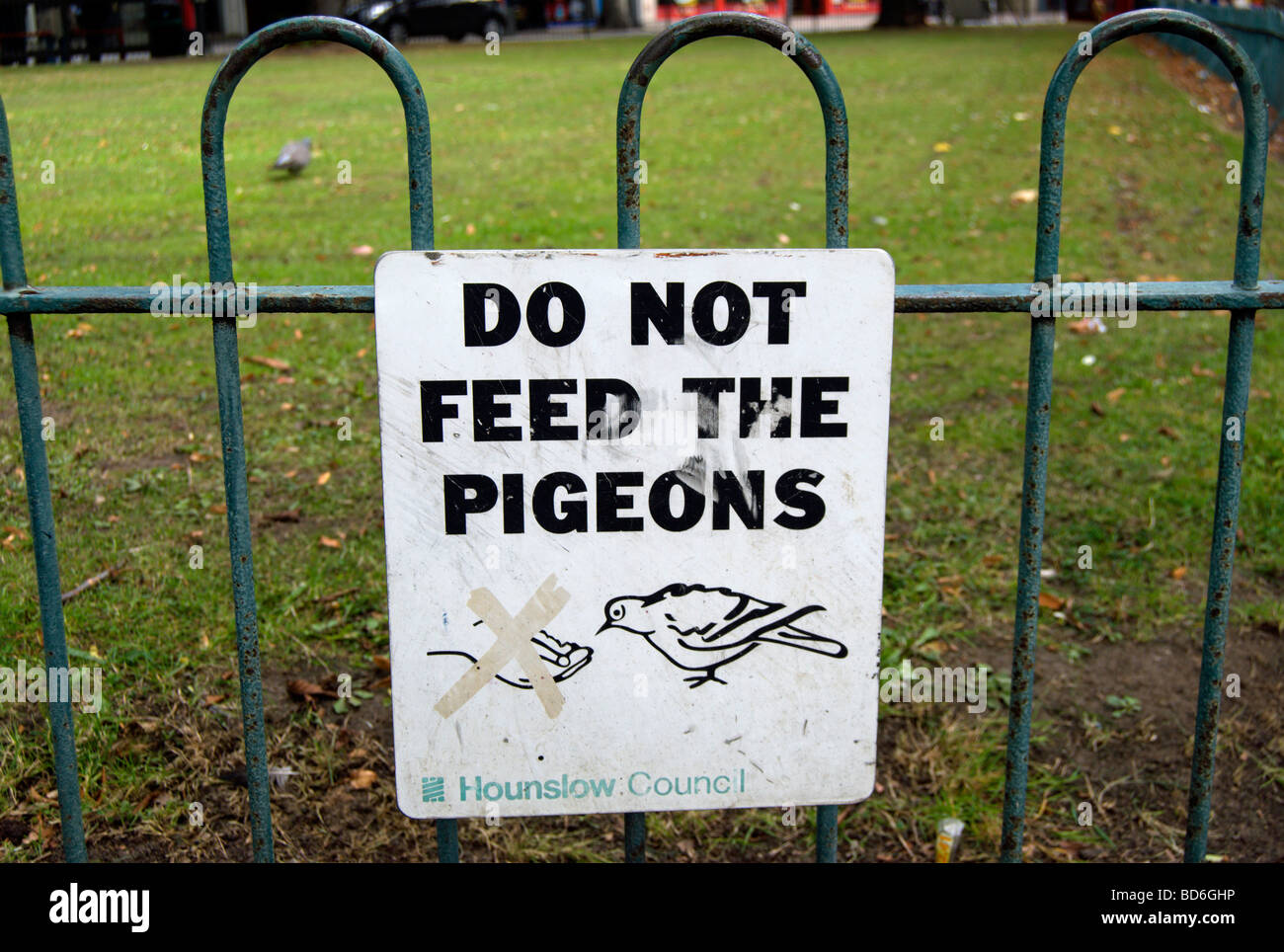Pigeons sign hi-res stock photography and images - Alamy