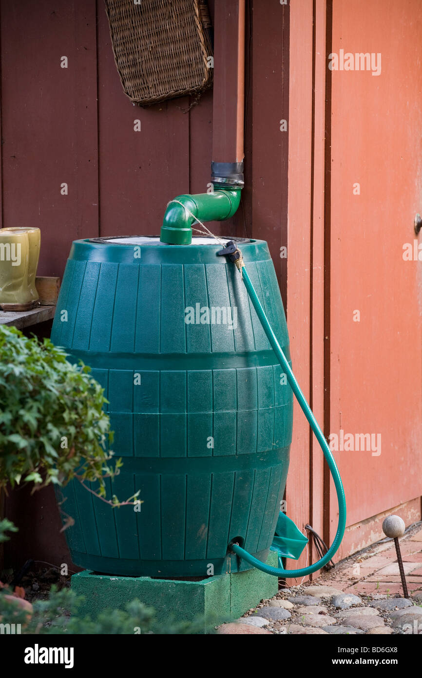 Downspout leading into water conserving rain barrel Stock Photo - Alamy