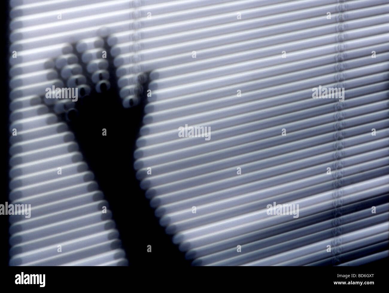 Venetian Blind Woman High Resolution Stock Photography and Images - Alamy