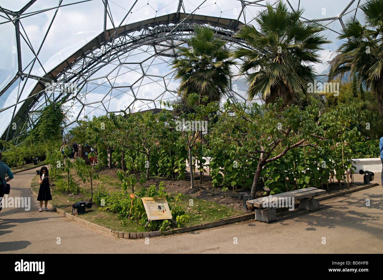 Eden project cornwall flowers sky hi-res stock photography and images ...