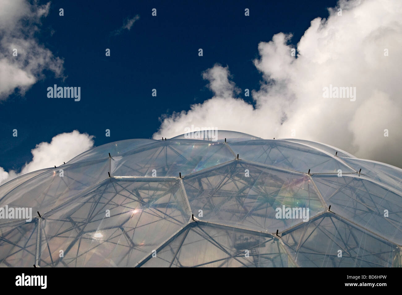 Eden project cornwall flowers sky hi-res stock photography and images ...