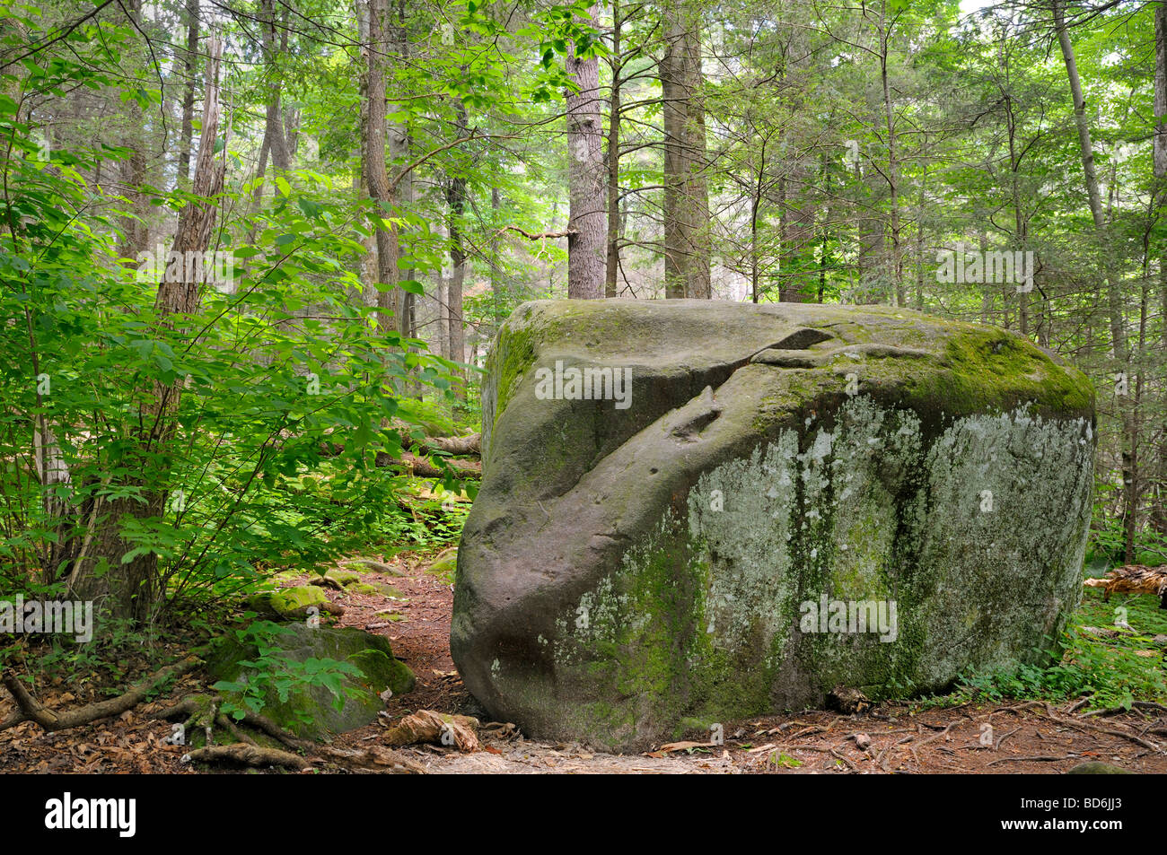 Huge boulder in the misty forest of Roaring Fork in the Great Smoky ...