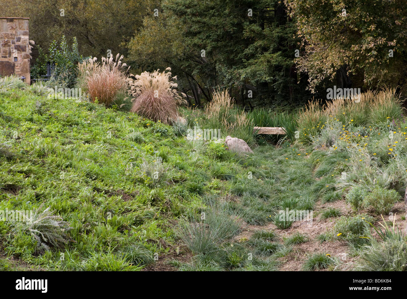 Swale garden hi-res stock photography and images - Alamy