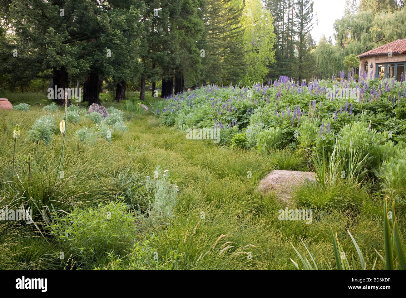 Swale Garden High Resolution Stock Photography and Images - Alamy