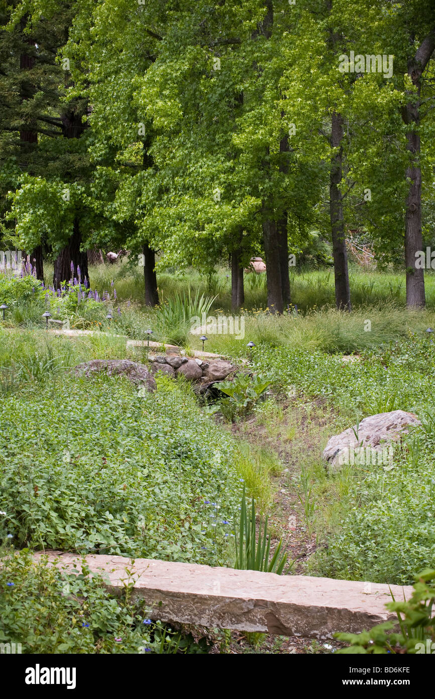 Drainage swale rain garden in back yard meadow Stock Photo - Alamy