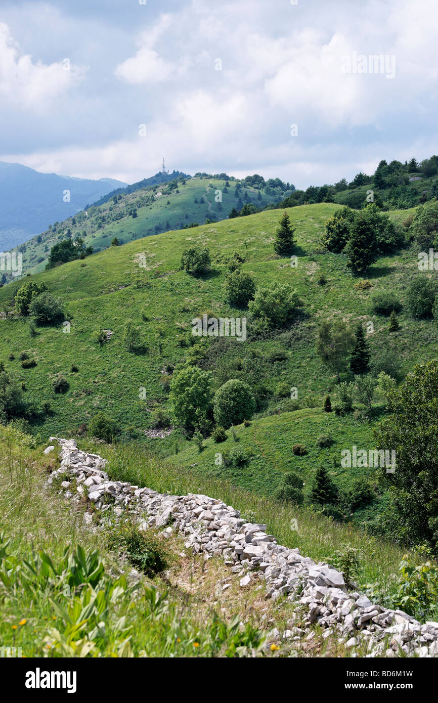 First world war italian trenches hi-res stock photography and images ...