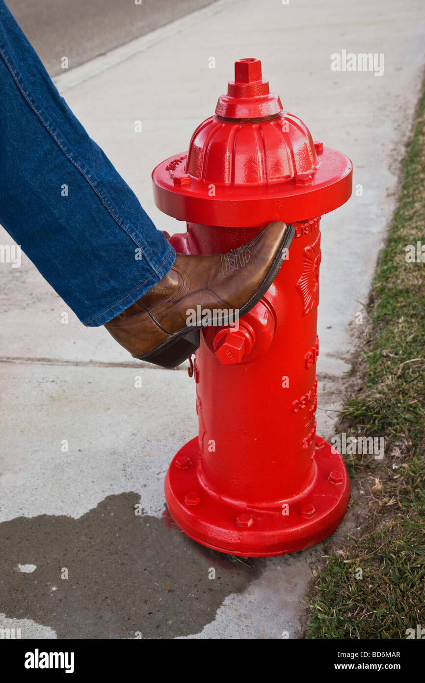Red fireplug on sidewalk, raised leg Stock Photo - Alamy