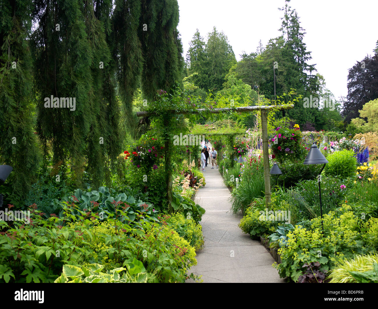 Floral display in the Butchart Gardens near Victoria on Vancouver ...