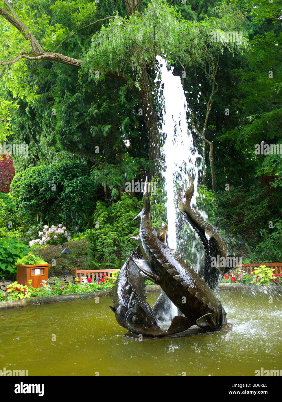 3 Sturgeons Fountain in the Butchart Gardens near Victoria on Vancouver ...