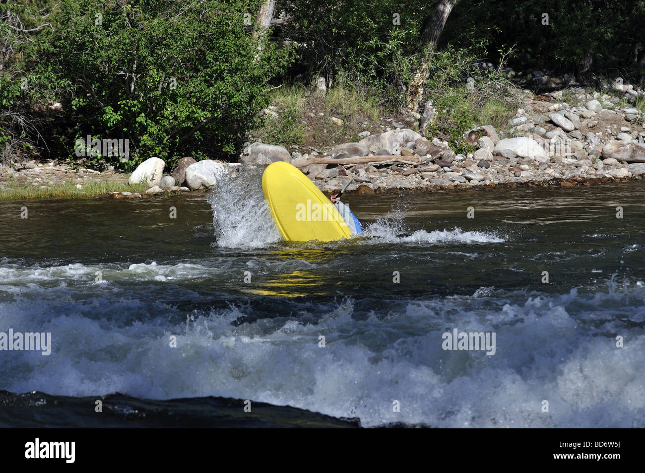 Whitewater kayaking in Boulder Canyon, Colorado Stock Photo - Alamy