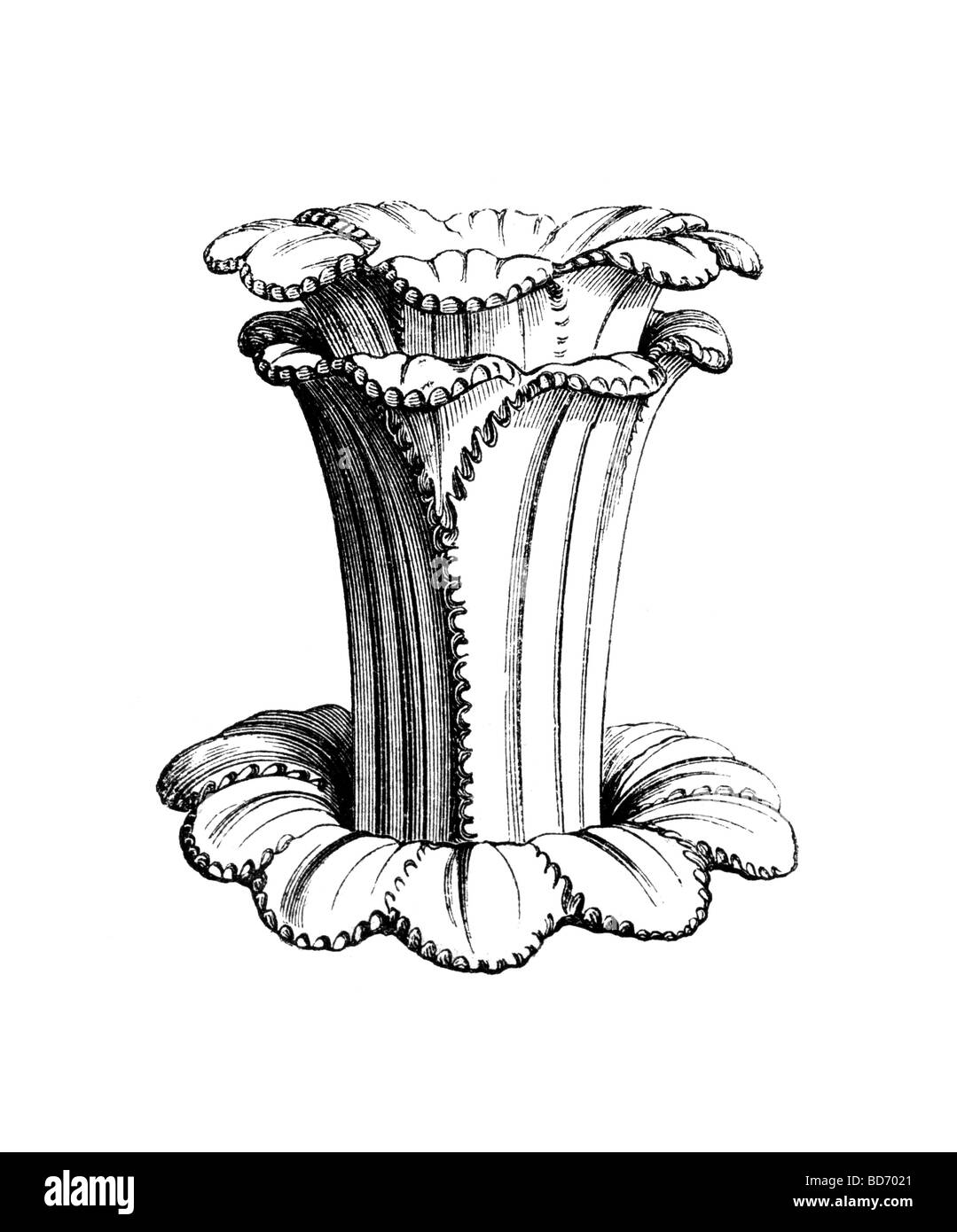 Victorian era dining room Cut Out Stock Images & Pictures - Alamy