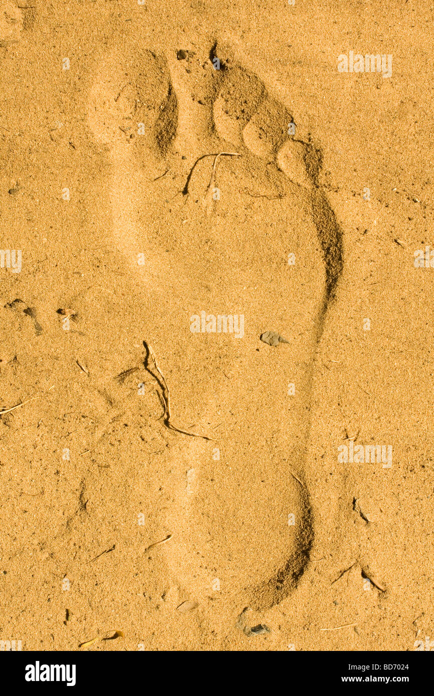 Foot imprint in sand that looks inverted due to lighting Stock Photo ...
